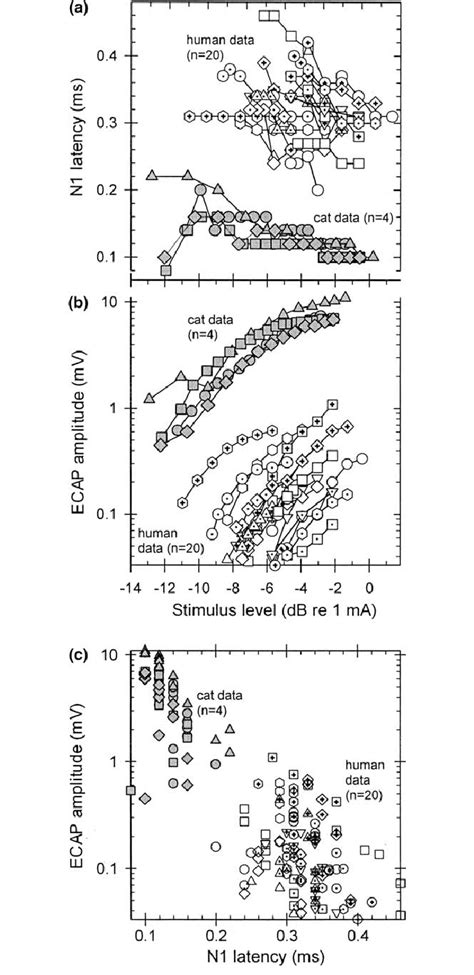 Comparison Of Feline And Human Ecap Measures Latency And Amplitude