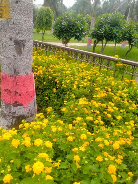 Manvendra Singh Posted On Linkedin