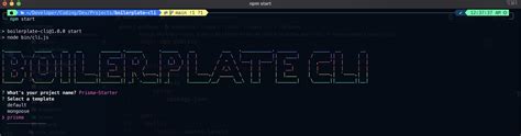 Github Amitrajitdasboilerplate Cli Quick And Easy Server Side Starter