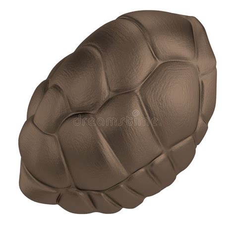 3d Render Of Shell Of Turtle Stock Illustration Illustration Of Shell