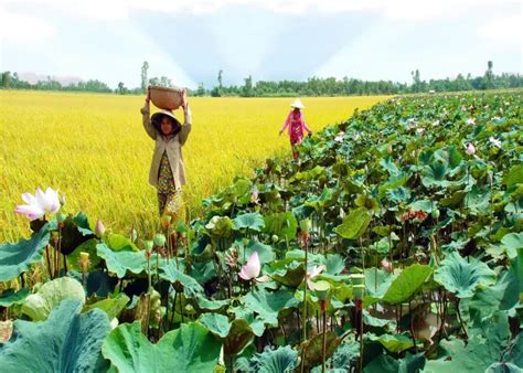 022026 Công Ty Bảo Vệ ở Đồng Tháp Uy Tín Nhất Khu Vực Daiangroup