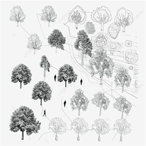 Architechture Outline Tree Plan Collection Architecture Tree Plan