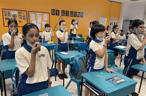 Primary School Balloting History In Singapore What You Need To Know