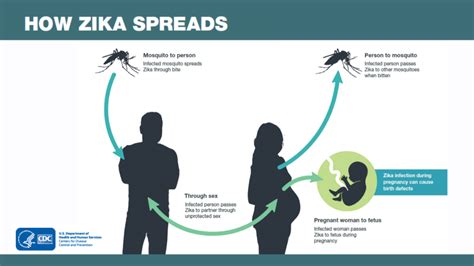Zika Virus Cases Are On The Rise In India Heres All You Need To Know