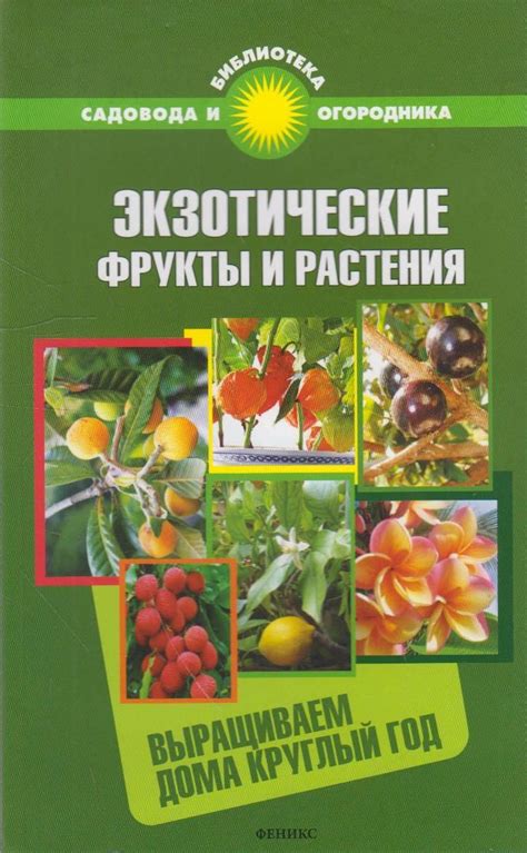 Экзотические Домашние Растения – купить в интернет-магазине OZON по ...