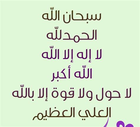 ‎الأستاذ تهني الأستاذ تهني حسام الدين العلوم الطبيعية