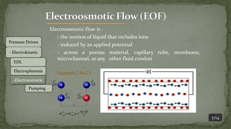 Ppt Electro Osmotic Flow Powerpoint Presentation Free Download Id 3233536