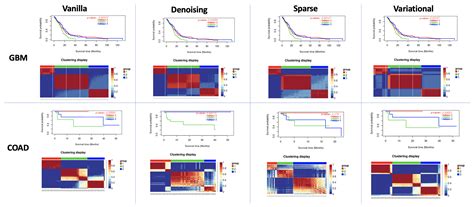 Performance Comparison Of Deep Learning Autoencoders For Cancer Subtype Detection Using Multi