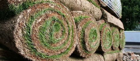 Sperrmüllabholung Einfach Richtig Sperrmüll Entsorgen Abfall Infode