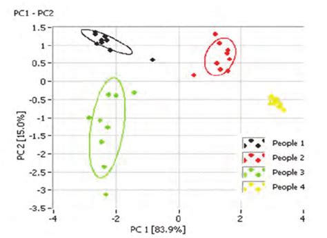 Discrimination Of Four Persons Download Scientific Diagram