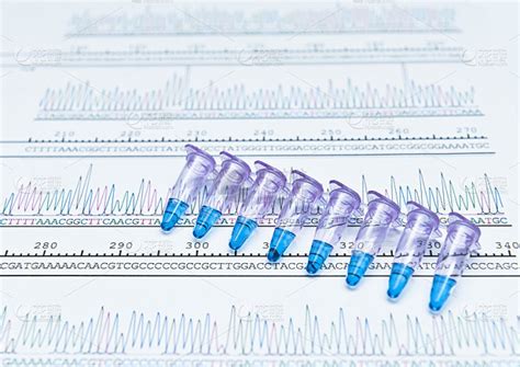 Pcr Dna序列分析色谱峰 Pcr Dna序列分析色谱峰