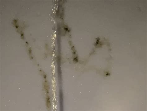 Piss Marking The Snow ThisVid Com