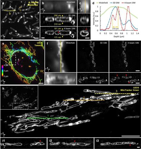 Nikon Instruments On Linkedin Superresolution Microscopy Sim Deeplearning