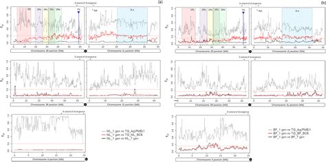 Introgression Of A Synthetic Sex Ratio Distortion Transgene Into Different Genetic Backgrounds