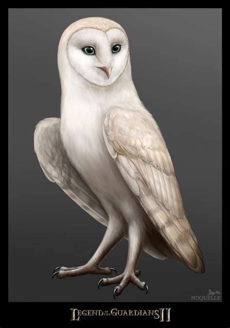 Nyras Daughter Legends Of The Guardians Introduction Guardians