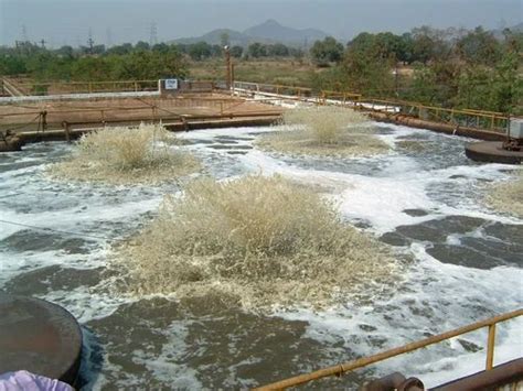 Surface Floating Water Diffused Aeration System For Pond At ₹ 150000 Piece In Coimbatore