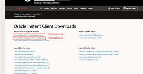 Oracle数据库学习 （2）通过navicat连接oracle并导入基本的表 筱筱创 博客园