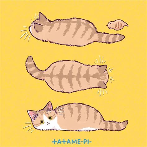 猫咪 头像 图源twitter：tatamepi 花瓣网