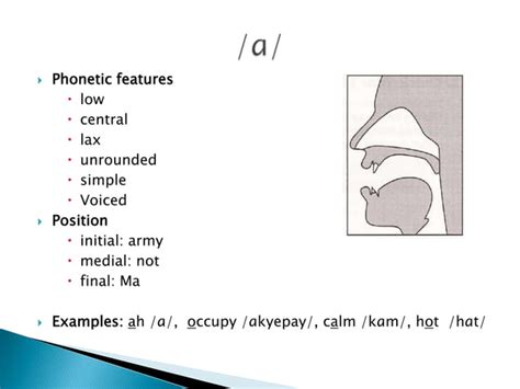 Phonology Of English Vowels Pptx