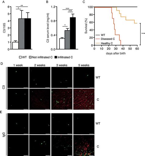 pathogenic role of c3 a c3 protein levels measured by elisa in the