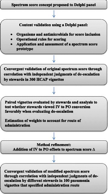 Overview Of The Process For Development Refinement And Validation Of Download Scientific