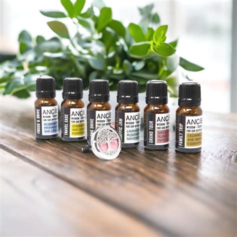 Car Aromatherapy Diffuser Kit