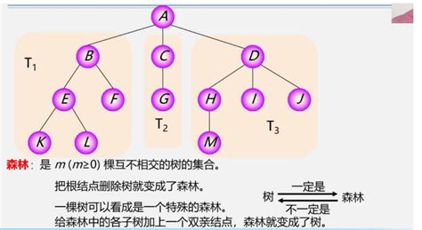 树和二叉树的基本概念 harper886 博客园