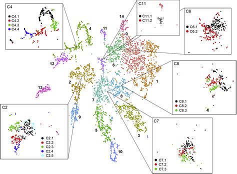 Hands On Analysis Of Plant ScRNA Seq Data With Scanpy Analysis Of Plant ScRNA Seq Data With