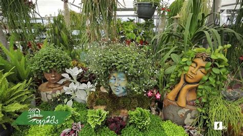 არტიშოკი სტუდენტების მიერ შექმნილი ულამაზესი ორანჟერეა დიღომში Youtube