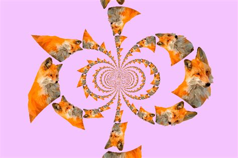 How To Use MetaMask A Beginners Guide The Daily Hodl