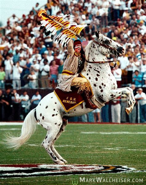 Chief Osceola Atop Renegade At Mid Field On Bobby Bowden Field At Doak