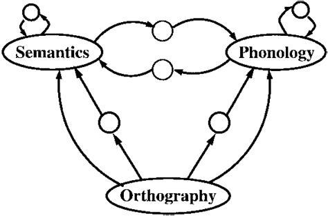 The Implemented Reading Model The Semantics Phonology Component Was
