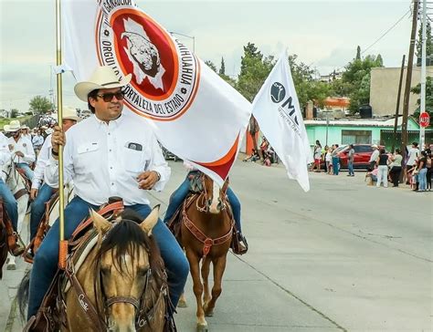 Alerta Por Gusano Barrenador Pone En Riesgo Sanidad En Chihuahua