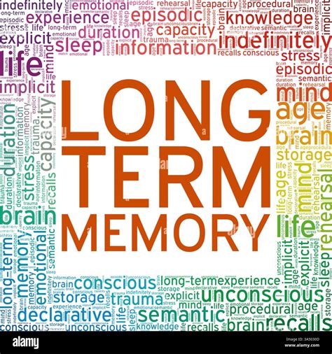 Long Term Memory Vector Illustration Word Cloud Isolated On White Background Stock Vector Image