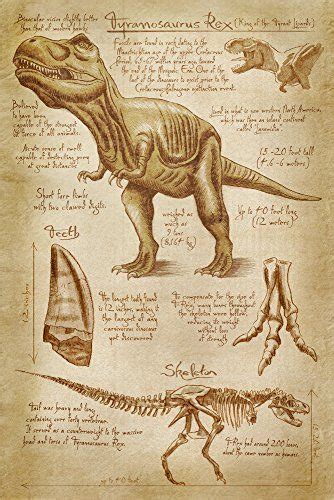 Jurassic Park Map Poster Dinosaur Decor Isla Nublar Map Etsy Artofit