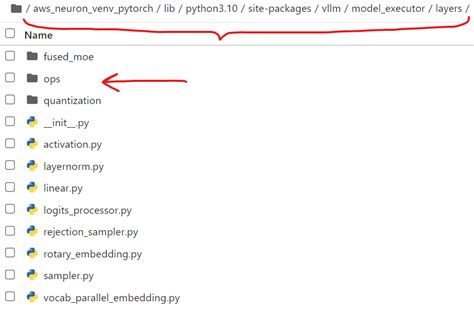 Amazon Web Services Vllm Post Neuron ModuleNotFoundError No Module Named Vllm C