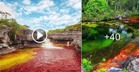 This Rainbow River In Colombia Has The Most Amazing Colors In The World