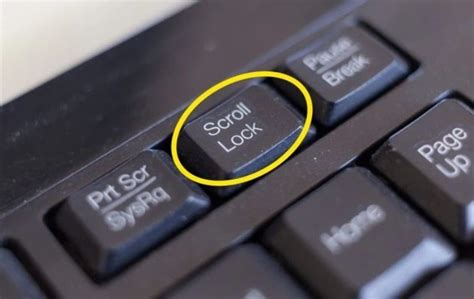 Scroll Lock là gì Cách bật tắt Scroll Lock trên máy tính Laptop service