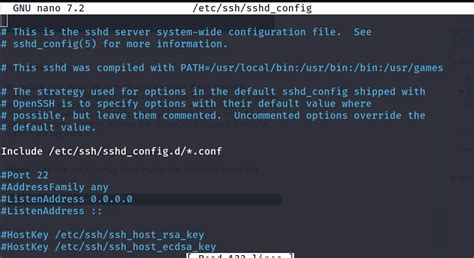 Ssh Penetration Testing Port 22