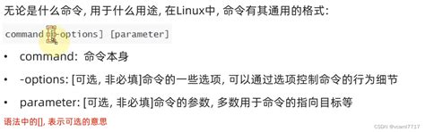 Linux命令linux系统 Cnds Csdn博客