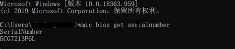 win mac linux 获取主机序列号命令 mac 查看主机序列号命令 csdn博客