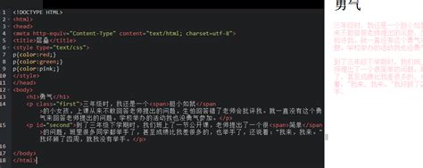 html css基础知识点 慕课教程） 慕课知识点 csdn博客