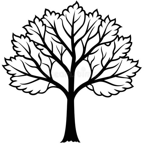 Ash Tree Silhouette Line Art Coloring Page Stock Vector Illustration