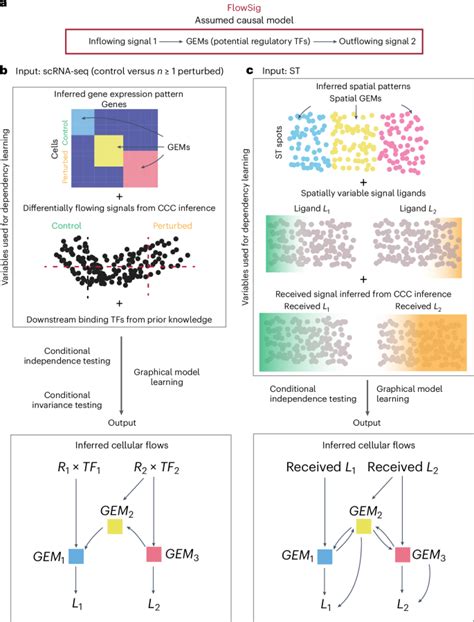 从单细胞和空间转录组学中推断模式驱动的细胞间流动 Nature Methods X Mol