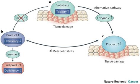 Inborn Errors Of Metabolism Chart A Visual Reference Of Charts Chart Master