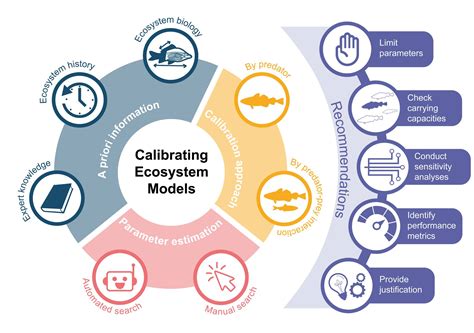 Ecopath With Ecosim New Paper Calibrating Ecosystem Models To