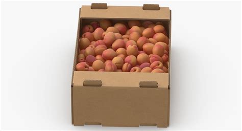 살구 게임 준비와 골 판지 디스플레이 상자 01 1 3d 모델 49 Max Fbx C4d Ma Obj Free3d