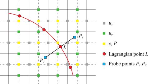 schematic illustration of the immersed boundary method with staggered