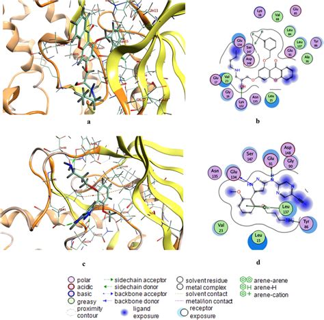 3d And 2d Interaction Profiles Of L31 A B And Prexasertib C D