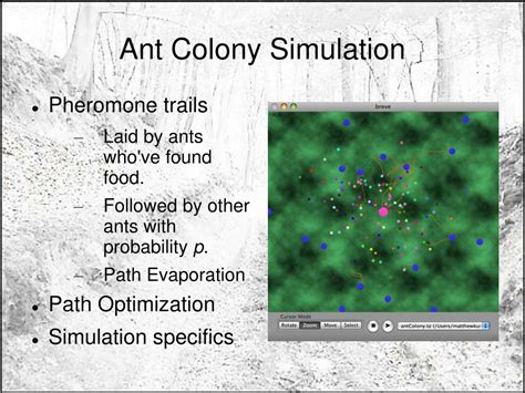 Ppt A Model Of Information Foraging Via Ant Colony Simulation Powerpoint Presentation Id3837562